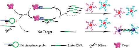 Schematic Illustration Of The Colorimetric Method Based On Cyclic Download Scientific Diagram