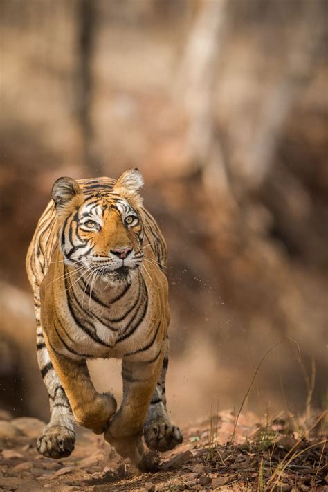 Improve Your Programming Skills