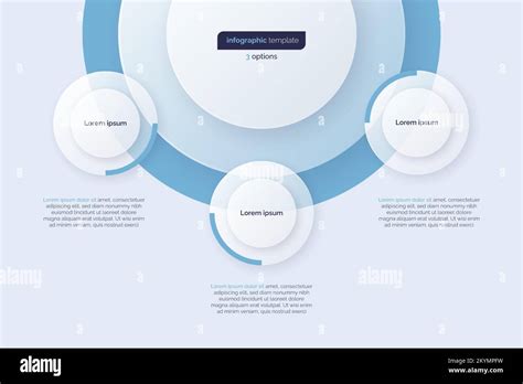 Three Option Circle Infographic Design Template Vector Illustration