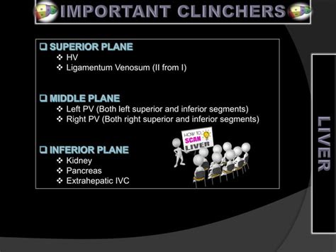 Liver Segmental Anatomy Ppt