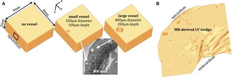 Computational Finite Element Models A Simple Cuboid Models Download Scientific Diagram