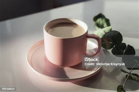 하얀 테이블에 커피 한 잔과 딱딱한 그림자가있는 유칼립투스 가지 0명에 대한 스톡 사진 및 기타 이미지 0명 공휴일 그림자 Istock