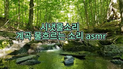 시원한 계곡물소리 시냇물소리 Asmr Youtube