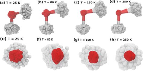The Importance Of Nuclear Quantum Effects On The Thermodynamic And