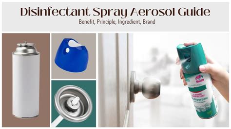 Disinfectant Spray Aerosol Guide Benefit Principle Ingredient Brand