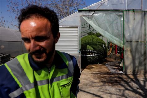 تور بازدید از روند ساخت المان های نوروزی شهرآرانیوز