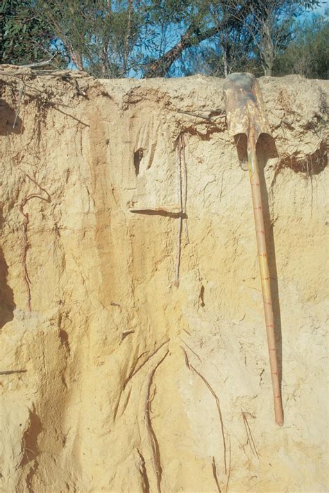 Soil Tests Analysis Soil Quality Knowledge Base