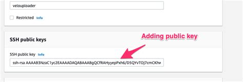 SFTP In AWS Velociraptor Digging Deeper