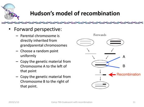 The Coalescent With Recombination Chapter 5 Part 1 Ppt Download