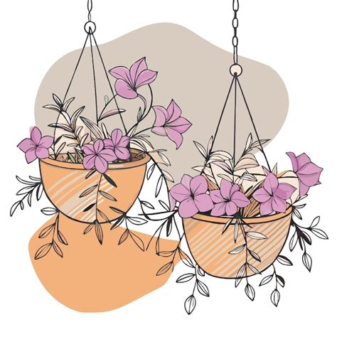 Vector Hand Drawn Cypress Vine In Hanging Baskets Botanical Art