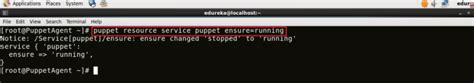 Install Puppet Install Puppet In Four Simple Steps Edureka