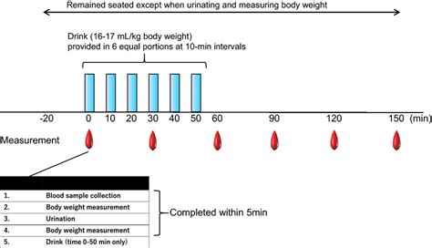 A Schematic Overview Of The Experimental Protocol Download Scientific