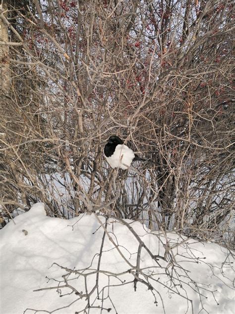 Пин от пользователя Валерия на доске Мне красиво 😍