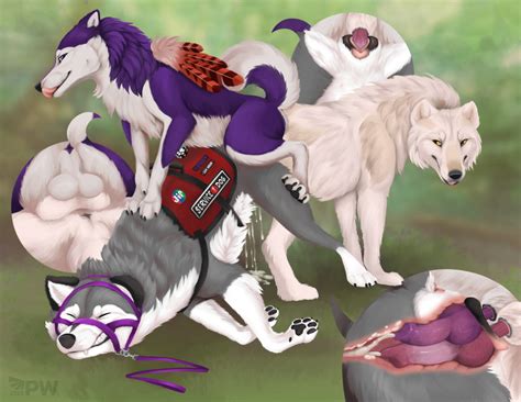 Rule 34 Amber Eyes Animal Genitalia Animal Penis Animal Pussy Anus