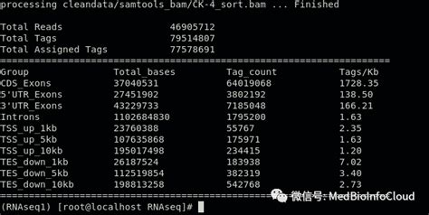 Bulk Rnaseq上游分析 生物信息云