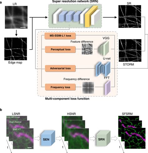 the architecture of sfsrm a the super resolution network srn
