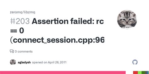 Assertion Failed Rc Connect Session Cpp Issue Zeromq Libzmq GitHub