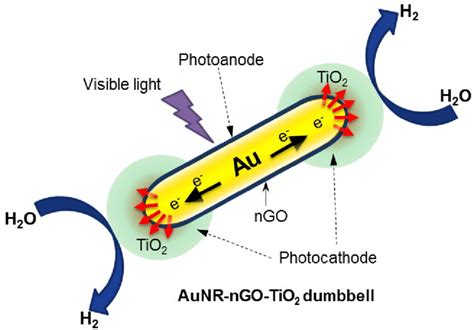 Target Construct For Multifunctional Synergistic Plasmonic Catalyst