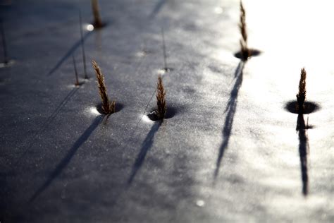 WinterPorn Where It S A White Christmas 24 7