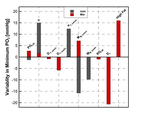 8 Variability In Minimum Po 2 Within The Intima Domain With Respect To