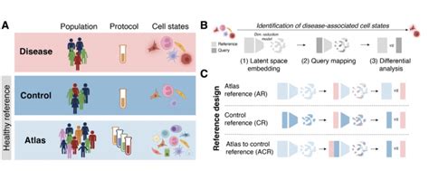 Mo Lotfollahi On Twitter Single Cell Reference Mapping See Bellow Allows Identification Of