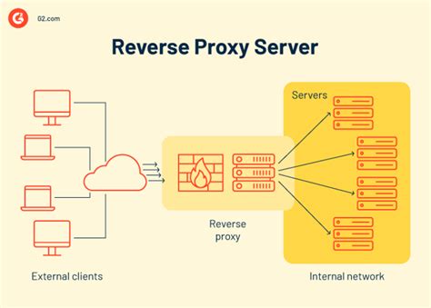 Forward Vs Reverse Proxy 7 Differences You Need To Know