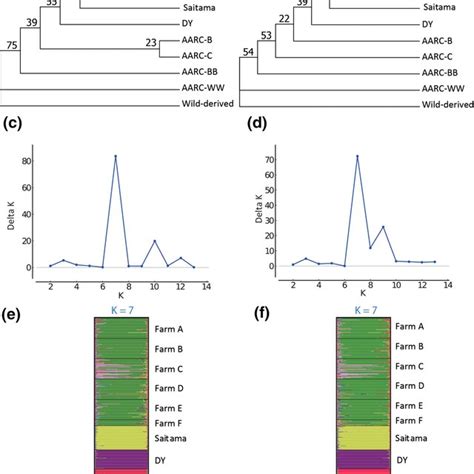 Neighbour‐joining Trees And Structure Plots Of 13 Quail Populations