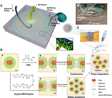 schematic illustration of the one step microfluidic strategy for