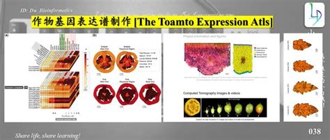 基因表达谱的构建 知乎