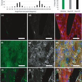 A Schematic Of The Experimental Timeline And IPSC Differentiation Download Scientific Diagram