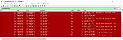 basic bgp information networking lab