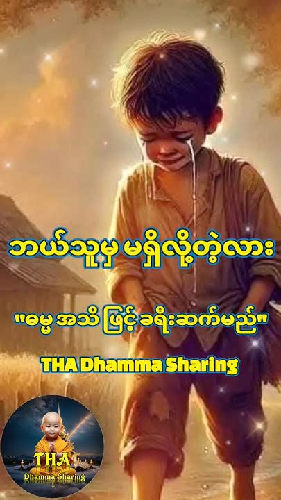 🙏🙏🙏 တရားတော်များ မနက်တိုင်းဖွင့် ညပိုင်းမေတ္တာပို့များ ညတိုင်းဖွင့် မေတ္တာပို့ Tayar