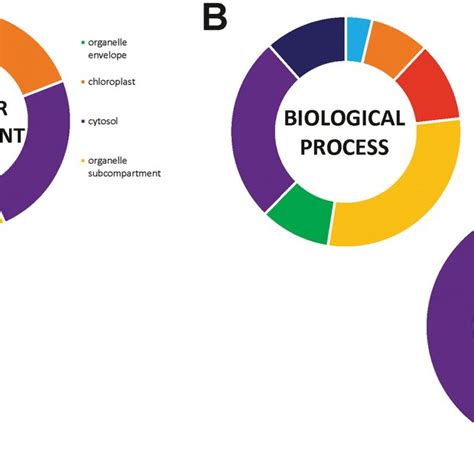 Heatmaps Of Hsf And Hsps Genes Expression Of Saray A And Turay Download Scientific Diagram