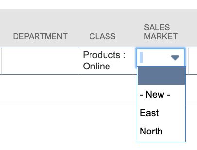 Tips For NetSuite Plative