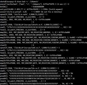 Meaning Of Shebang In Bash Scripts