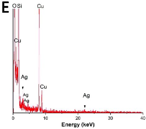 Ab Tem Images Showing Spherical Ag Nps Immobilized Throughout The