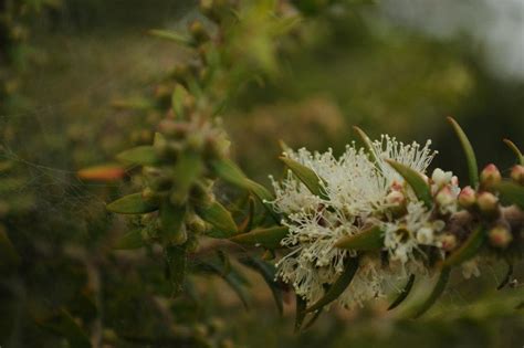 Blog It Forward Vivek Barnwal Sap Community