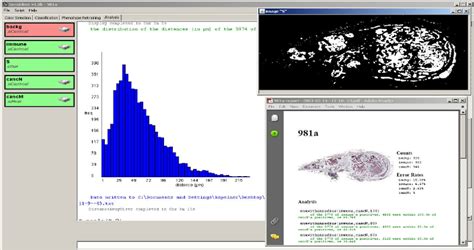 An Example Of The Command Line Data Analysis Panel The Histogram Download Scientific Diagram