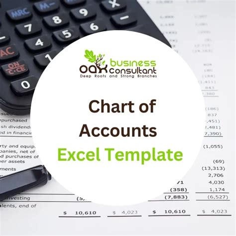 Chart Of Accounts Excel Template Oak Business Consultant