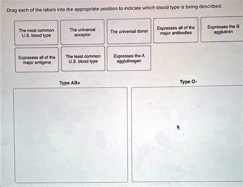 plz help drag each of the labels into the appropriate position to