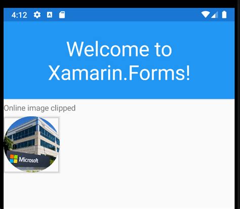 [bug] image clipping and sizing doesn t match xamarin forms · issue