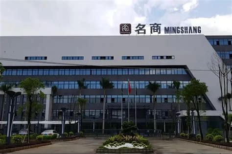 Ms Vd201 A Blind Spot Detection Device With Bsd Collision Warning And Identification Functions