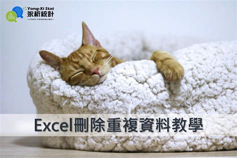 【excel刪除重複資料教學】 永析統計及論文諮詢顧問