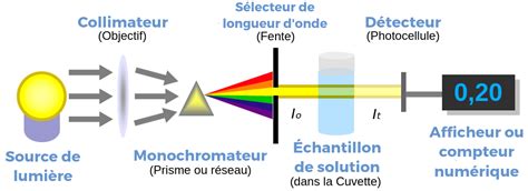 Le Spectrophotomètre Labster Theory
