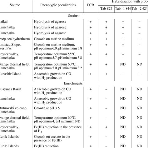 Hybridization Of Oligonucleotide Probes With Pcr Products Obtained On Download Table