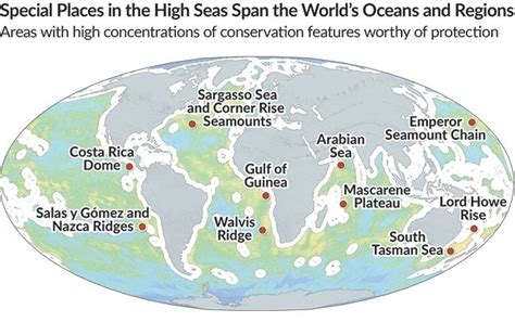 Marine Biodiversity Map
