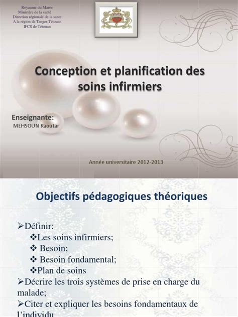 Conceptualisation Et Planification Des Soins Pdf Pdf