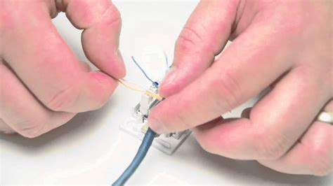 Cat 5 Splice Kit At Sammy Parra Blog