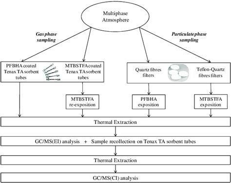 method overview method overview download scientific diagram