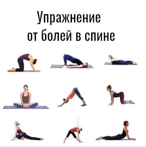 Йога при болях в спине 5 упражнений чтобы избавиться от боли в пояснице
